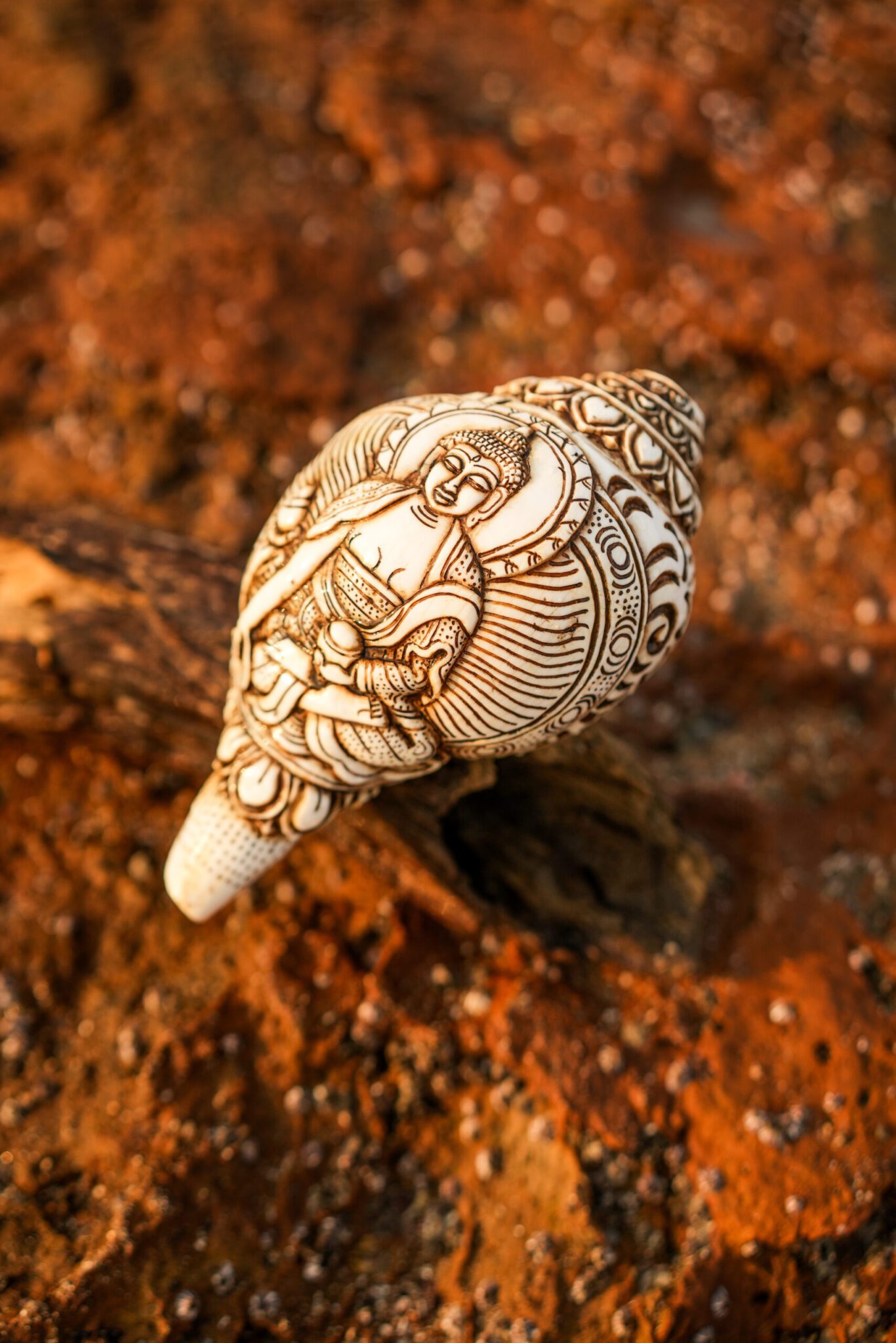 Buy Shankh Online | Natural Shankh - Authentic Original Shankh