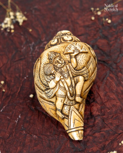 Hanuman Carved Shankh – Symbol of Power, Bhakti & Protection | Natural ...