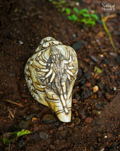 Kali Mata Carved Shankh – Perfect for temple use, spiritual practice ...