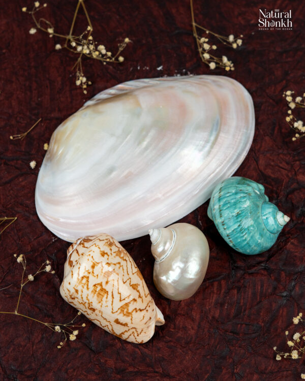 Vintage Decor Kit (4 Nos) – Ocean-crafted elements for décor and harmony
